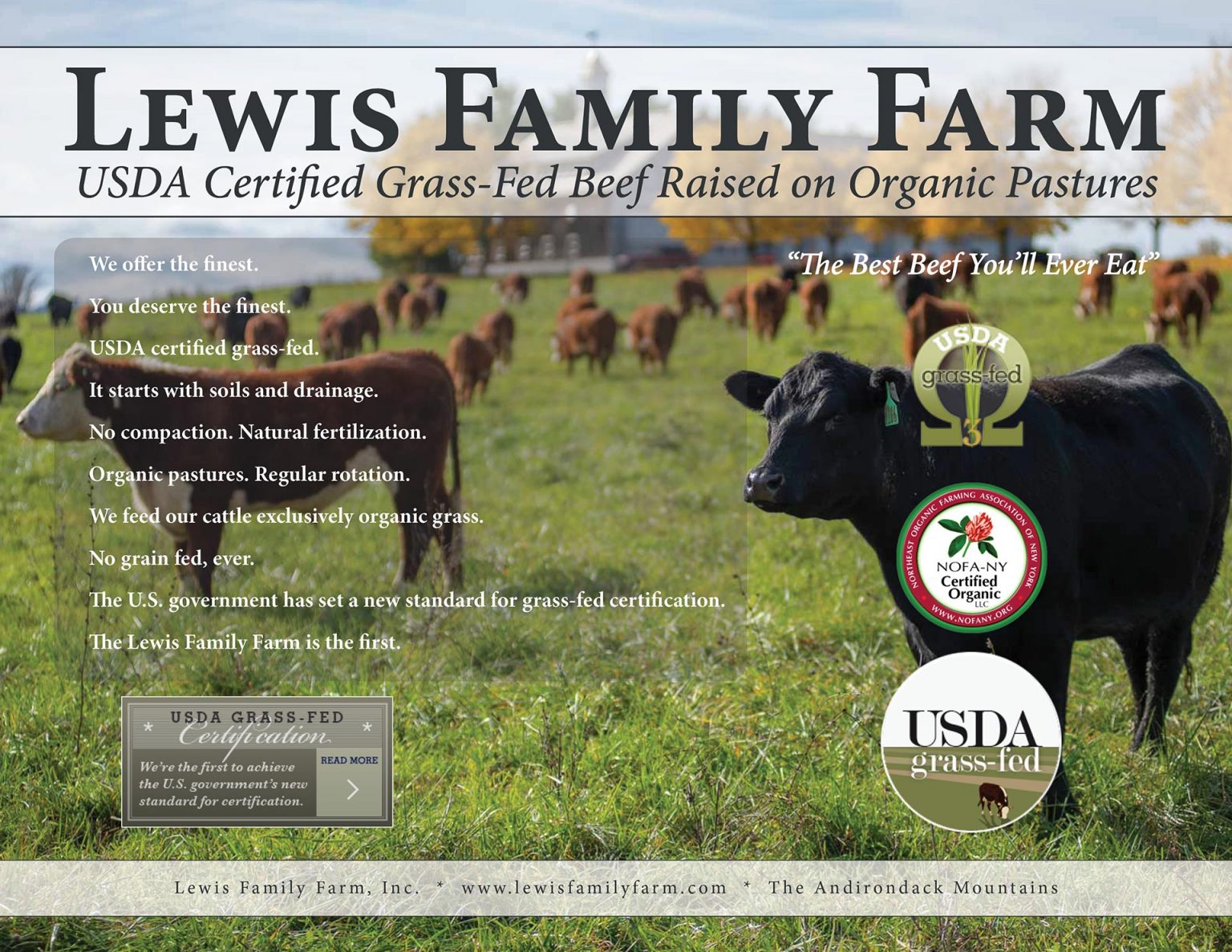Marketing - Lewis Family Farm, Inc.